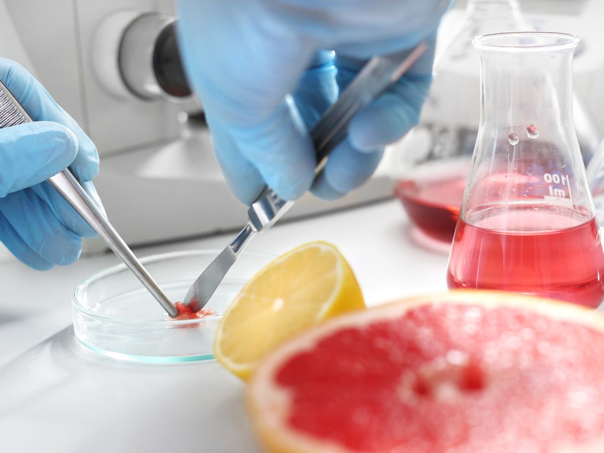Food Safety and Heavy Metals – What You Should Know? - J.S. Hamilton